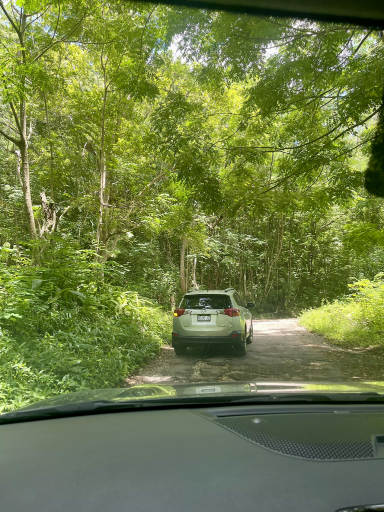 Appleton Estate: The Ultimate Jamaican Rum Tour